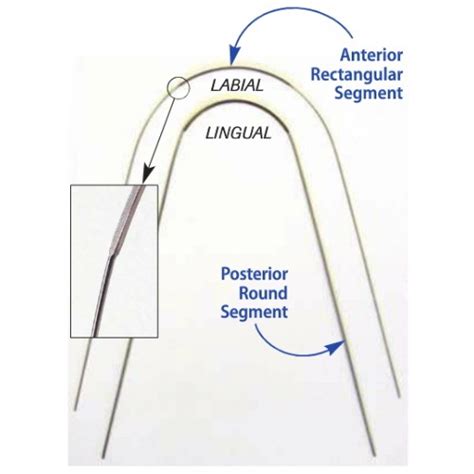 Wilcock Combo X Labial
