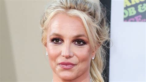 Britney Spears Sons Hoping For Hawaii Move Havent Seen Her In Over A