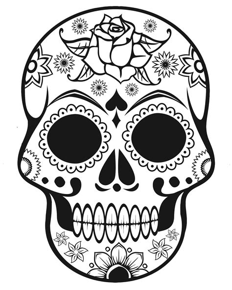 Simple Skull Side Drawing At Getdrawings Free Download
