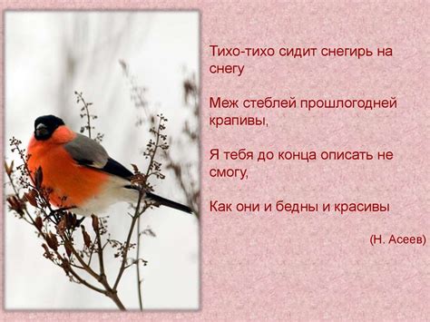 Снегирь - online presentation