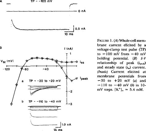 Figure 1 From Characterization Of The Inward Rectifying Potassium Current In Cat Ventricular