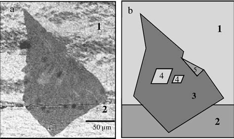 Germination Intergranulaire Dans Le Bicristal Bi B A Micrographie Download Scientific