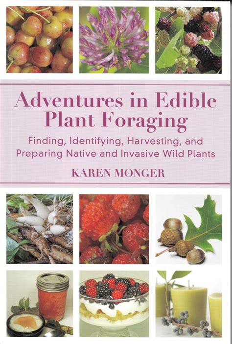 Foraging For Wild Natural Organic Food Adventures In Edible Plant