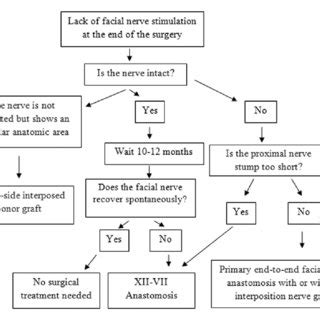 Decision Making Algorithm Download Scientific Diagram