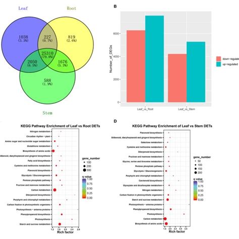 Summary Of Pacbio Single Molecule Real Time Smrt Sequencing Download Scientific Diagram