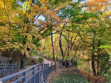 N Seoul Tower Ways To Get There Walking Trails And Maps Koreatodo