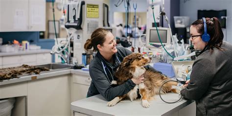 Home Veterinary Specialty Center
