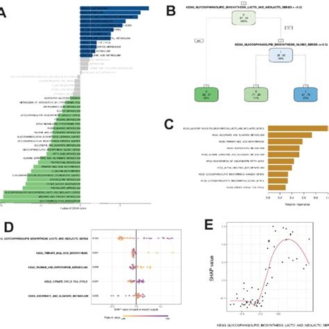Differential Metabolic Pathway Analysis And Core Pathway Construction Download Scientific