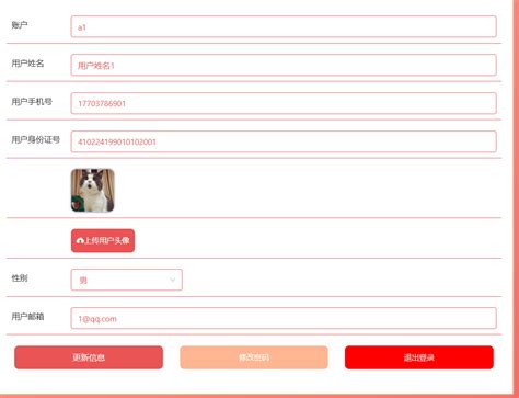 基于springboot的车辆违章信息管理系统 Csdn博客