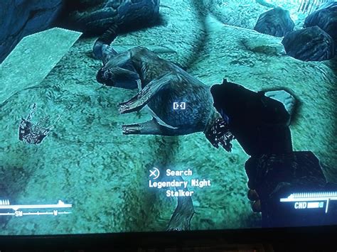 Night Stalkers Fallout