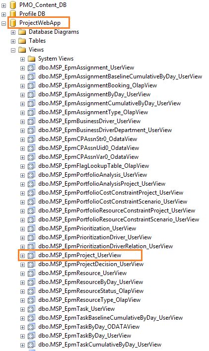 query enterprise custom fields from project server database