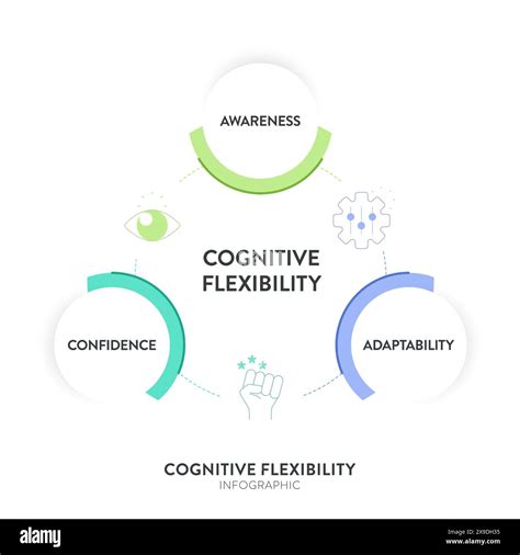 Cognitive Flexibility Framework Diagram Chart Infographic With Icon Vector For Banner