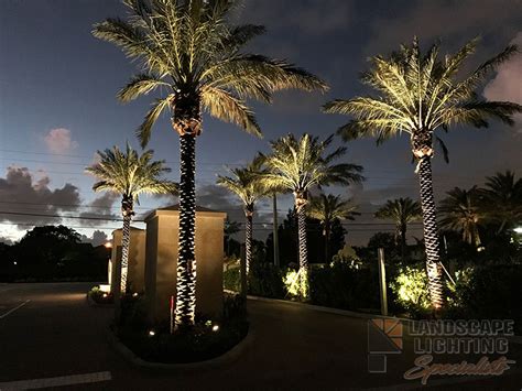 Palm Beach Commercial Outdoor Lighting Company Landscape Led