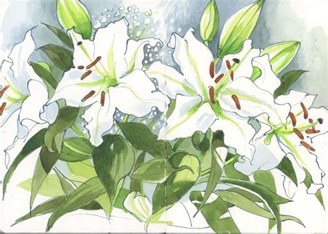 White Lilies Róisín Curé