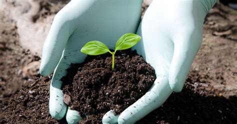 T Gen Biodegradable Nitrile Glove M