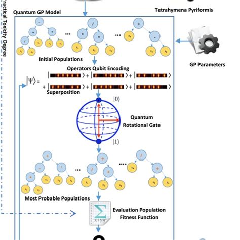 Experimental Versus Predicted Toxicity Using The Cartesian Genetic