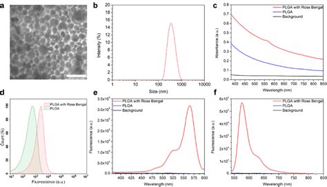 Characterization Of Plga Nanoparticles A Scanning Electron Download Scientific Diagram