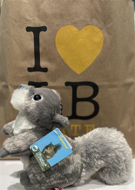 Bought The Csulb Squirrel What Should I Name It Rcsulb
