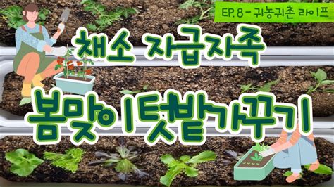 Ep 8[귀농귀촌라이프]채소자급자족 봄맞이 텃밭가꾸기 4월텃밭 방울토마토 아삭이고추 유럽상추 전원주택 시골일상 귀농귀촌 Youtube