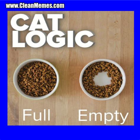 Cat Logic Clean Memes