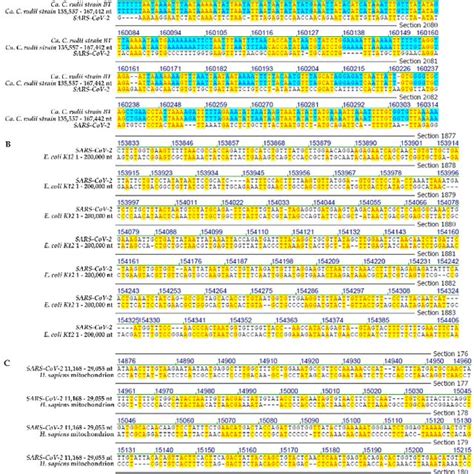 A Sequence Alignment Between Wuhan Sars Cov 2 And Hiv 1 B Sequence