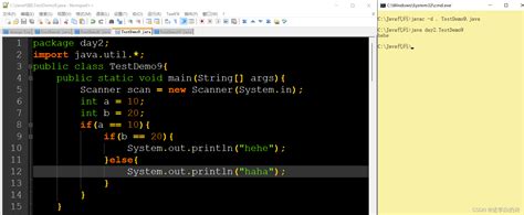 Java中的分支与循环结构详解 Csdn博客