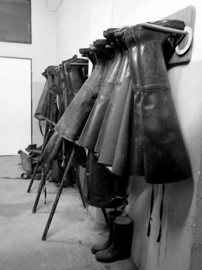 I Need A Wall This Long For My Collection Tumbex