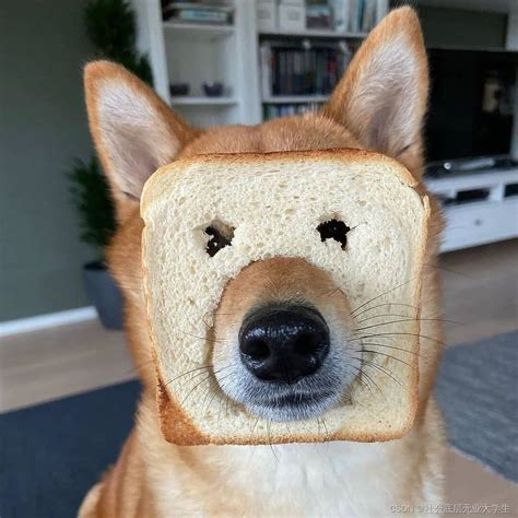 Java对word文档预设参数填值并生成（包含图片）java Word模板填充数据 Csdn博客