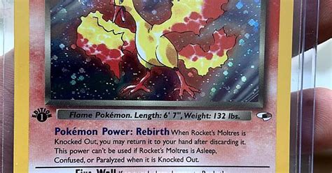 Moltres Album On Imgur