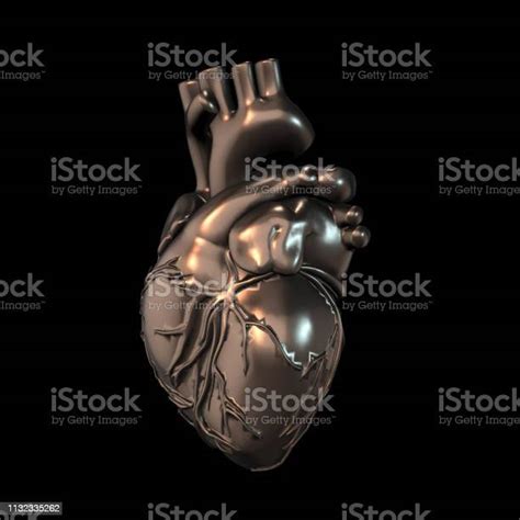 3d 와이어 프레임 하트 렌더링 고립 된 흰색 배경 3d 렌더링 3차원 형태에 대한 스톡 사진 및 기타 이미지 3차원 형태 Robotic Surgery 강철 Istock