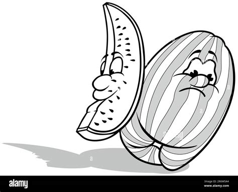 Drawing Of A Striped Watermelon Stock Vector Image And Art Alamy