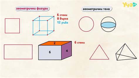 Важно Геометрични тела Математика 4 клас