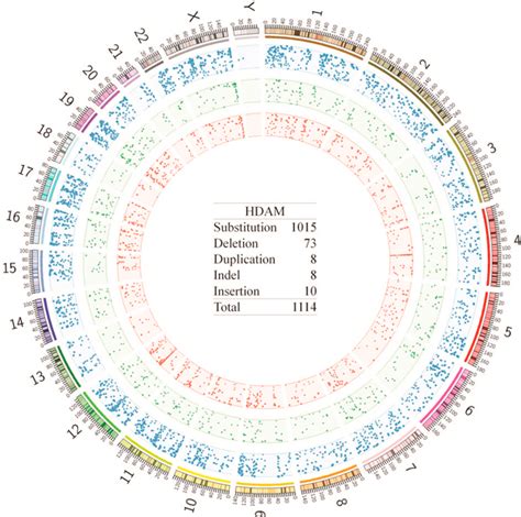 Mutation And Gene Distribution On Circos Diagrams The Outer Circle