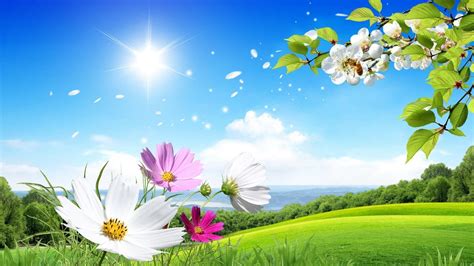 Summer Scenery Wallpapers Top Free Summer Scenery Backgrounds