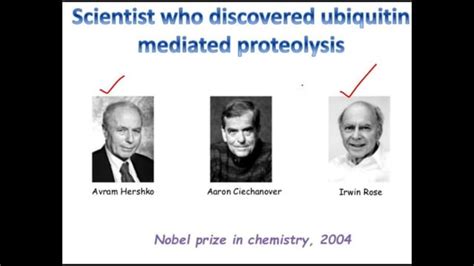 Post Translational Modification Ubiquitination Pptx