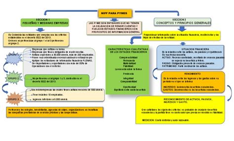 Niff Para Pymes Mapa Conceptual Pdf Pequeñas Y Medianas Empresas