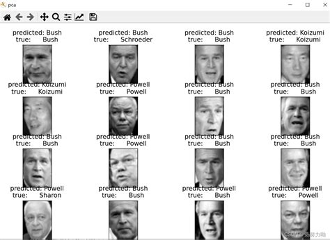 对人脸数据集，采用pcakpcamdslleisomape五种方式降维 模式识别课程设计 Csdn博客