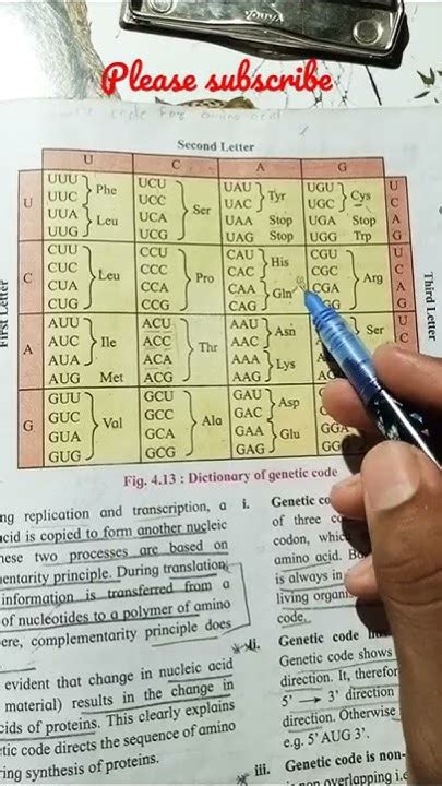 Genetic Code Chart Best Trick Trick For Biology Molecular Basis Of Inheritance 👈 Youtube