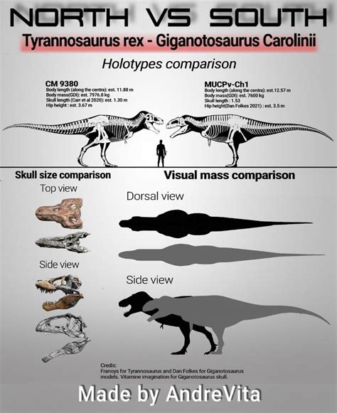 Tyrannosaurus Size Comparison