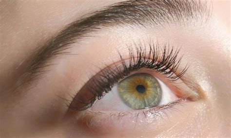 Classic Arch Eyebrow Reyebrows