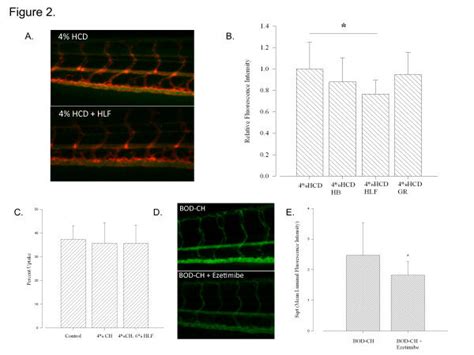 Hawthorn Leaves And Flowers Hlf Decrease Bodipy Cholesterol
