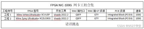 Fpga实现 Nic 100g 网卡，gty100g Ethernet Subsystem架构，纯verilog代码实现，提供2套工程源码和