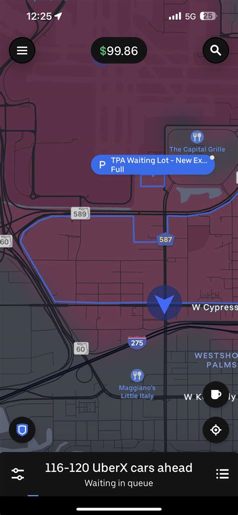 can someone explain why someone would wait in 116 cars deep tampa airport r uberdrivers