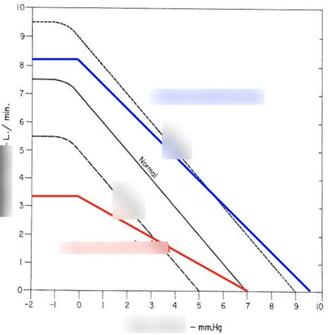 Vascular Function Curves Diagram Quizlet