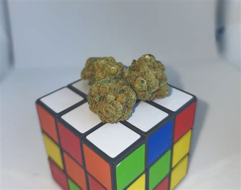 Do Si Dos Smokingskunk