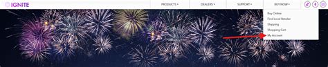 How To Reset My IGNITE Webstore Account Password IGNITE Firing Systems