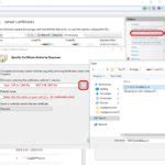 SOLVED Certificate Disappears From IIS After COMPLETE CERTIFICATE REQUEST On Server Up