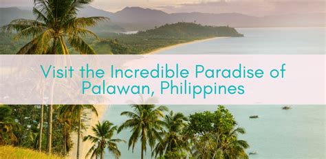 Sex Cruises For Singles Girls Who Travel