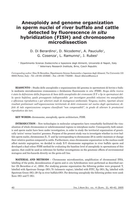 Pdf Aneuploidy And Genome Organization In Sperm Nuclei Of River