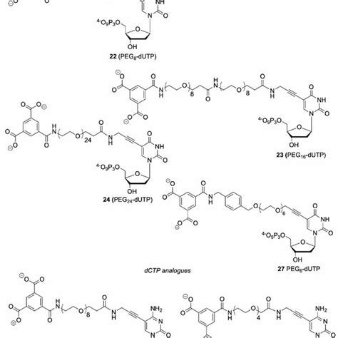 Structures Of Modified DNTPs Download Scientific Diagram